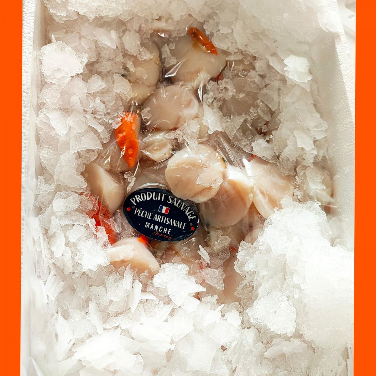 Fish - Guide du Gers