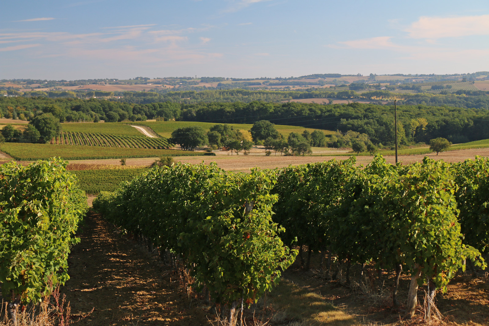 Tourism & Holidays in Gers - Guide du Gers